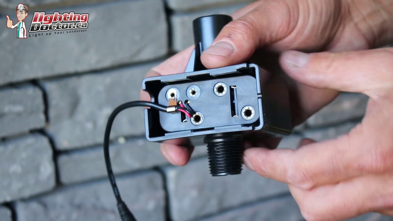 How to Install Landscape Lighting - Use a Demo Light to get the Perfect ...