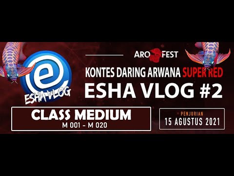 KONTES ONLINE AROWANA ESHA VLOG #2 ( CLASS MEDIUM ) Part 1