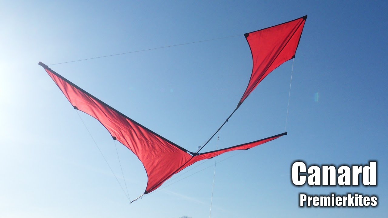 Canard kite (Carsten Domann / Premierkites) - YouTube