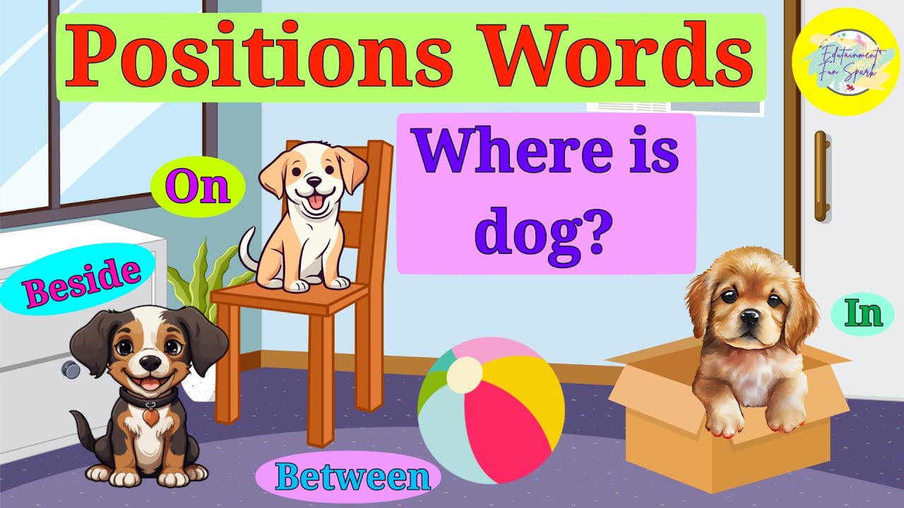 Positions words/ Where is dog?/ Prepositions/ in/on/under/ positions ...