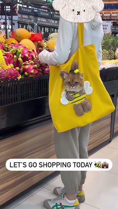 Let’s Go Shopping Today With My Cat 🐈 - YouTube