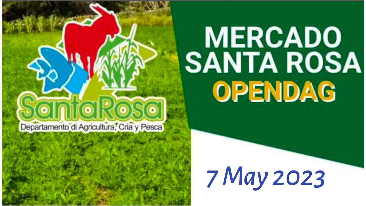Mercado Santa Rosa Opendag 2023 - YouTube