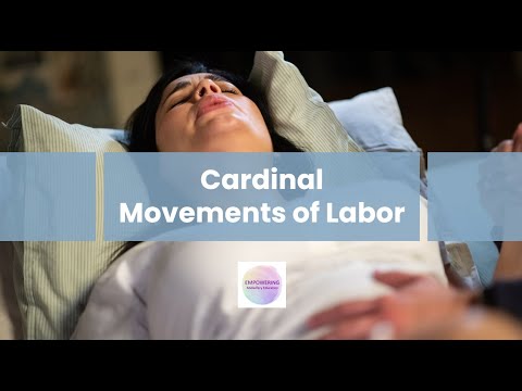Cardinal Movements of Labor - Empowering Midwifery Education - YouTube