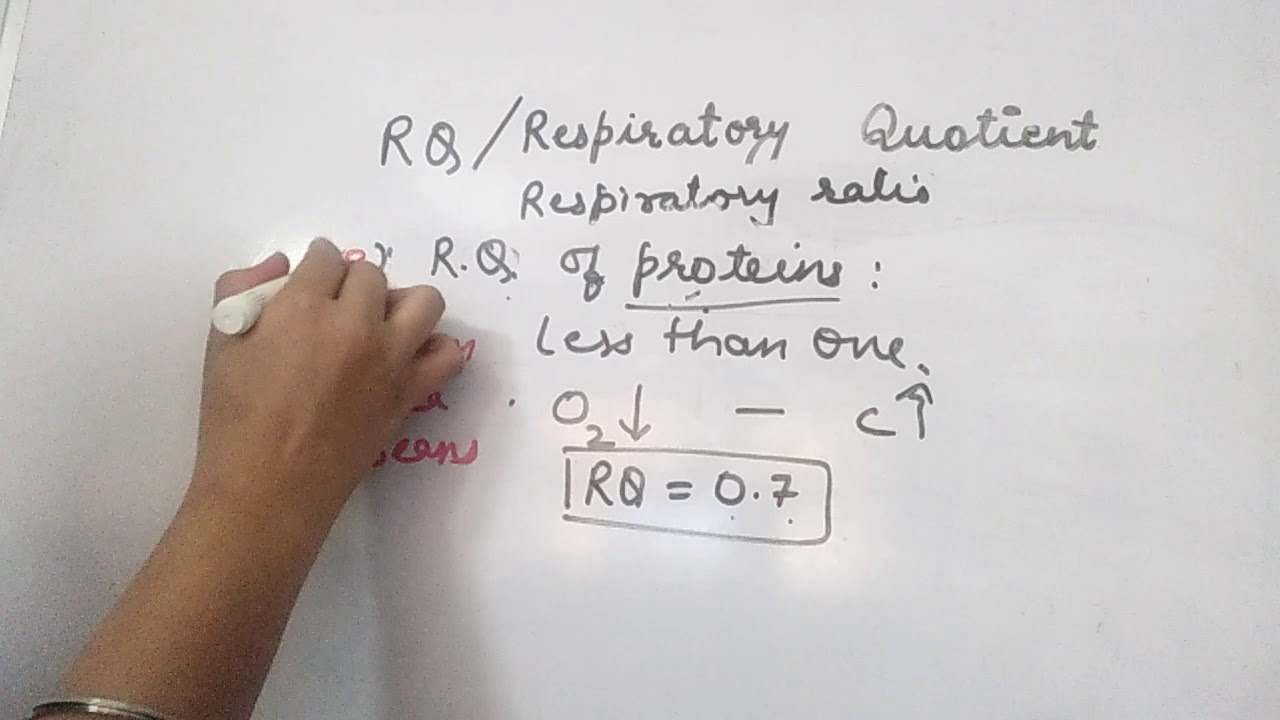 Respiratory Quotient and Factors affecting respiration - YouTube