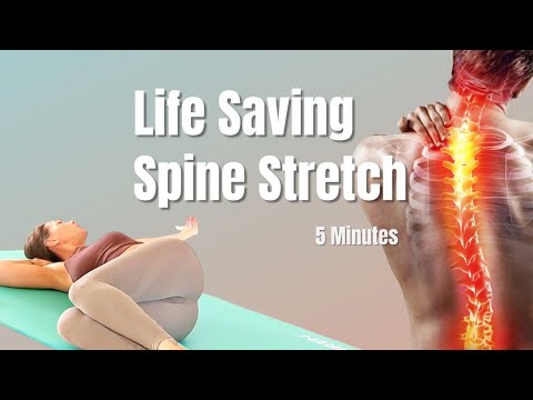 The Deep Back Stretch That Will Transform Your Spine Mobility - YouTube