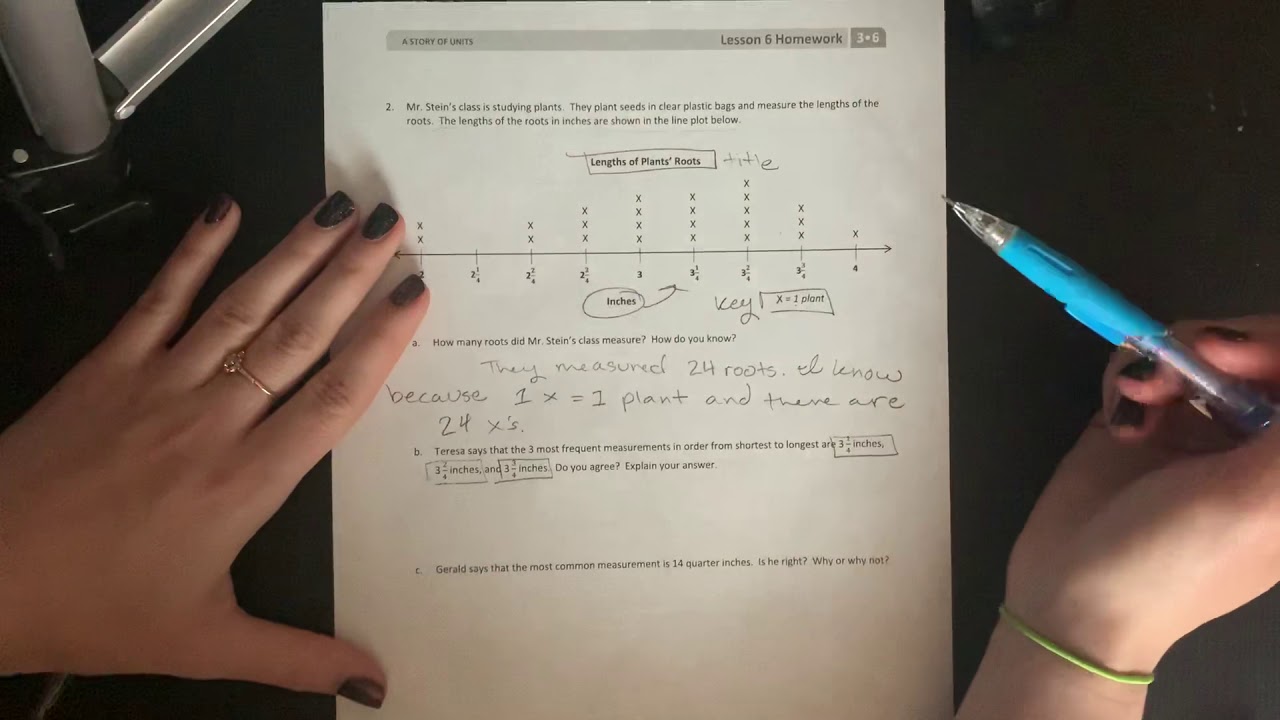 Module 6 Lesson 6 Homework - YouTube
