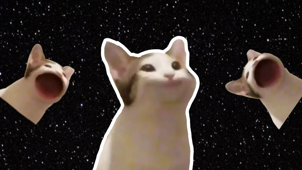 Pop Cat Shooting Stars - YouTube