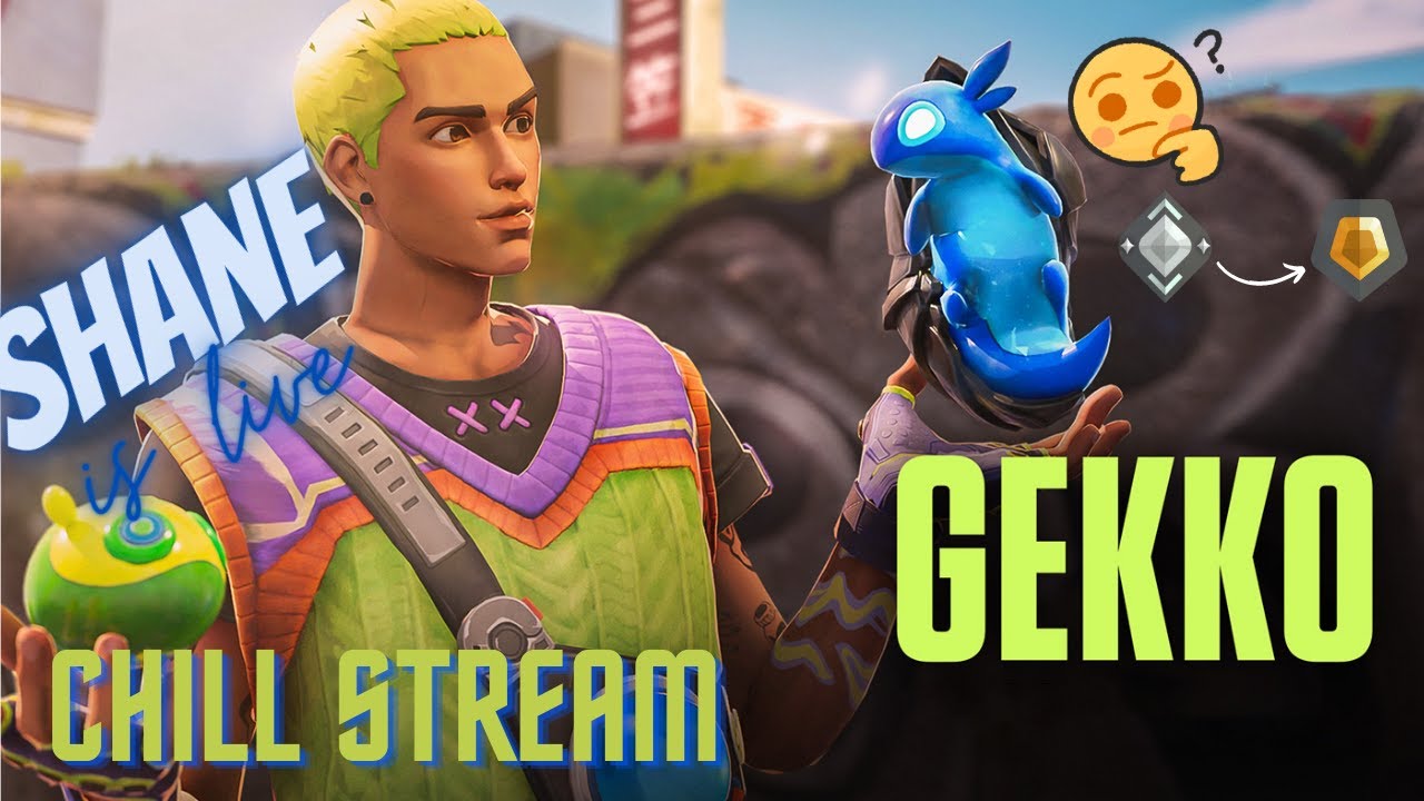 Grind for Gold|Valorant Live Stream India |Live Rank push with noob ...