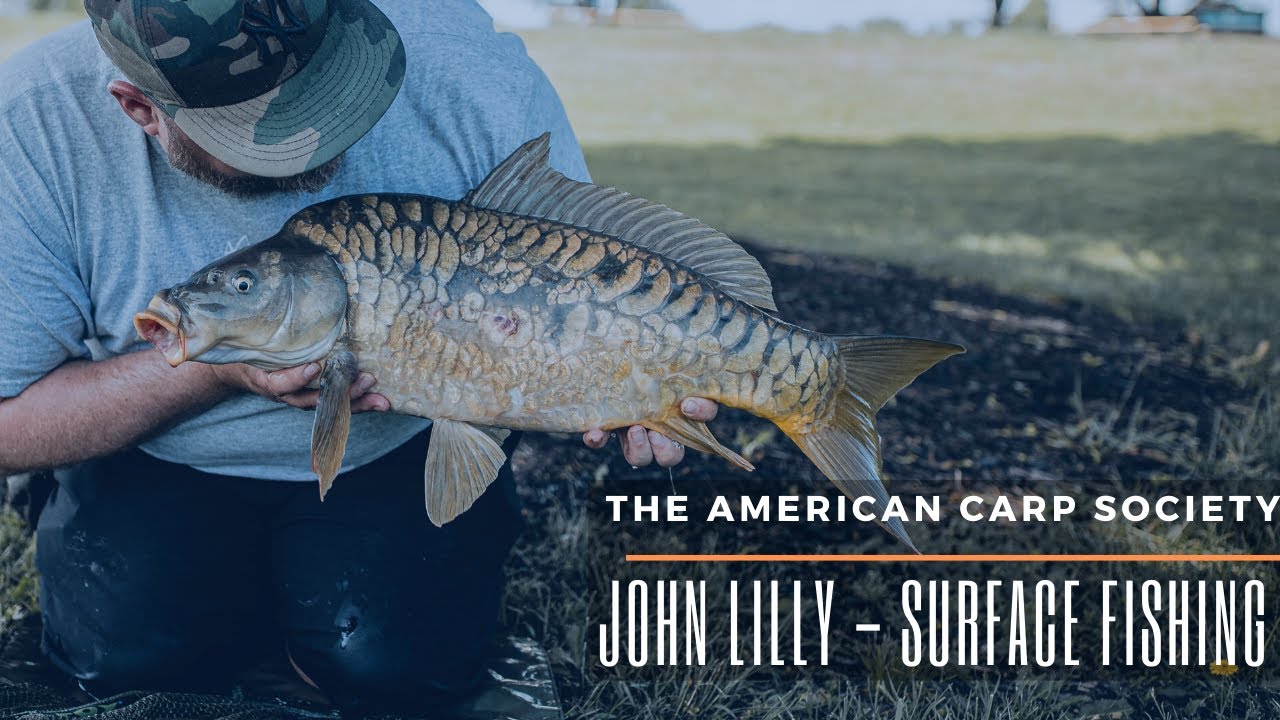 THE AMERICAN CARP SOCIETY - JOHN LILLY - FISHING FOR CARP WITH BREAD ON ...