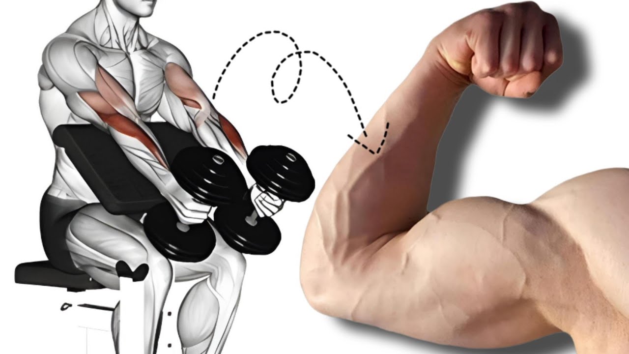 If you do not do these exercises, you will no longer have muscular arms ...