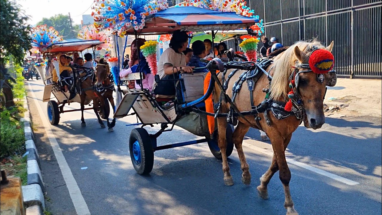 KUDA - KUDA DELMAN - BALONKU ADA LIMA LAGU ANAK POPULER LAGU NAIK ...