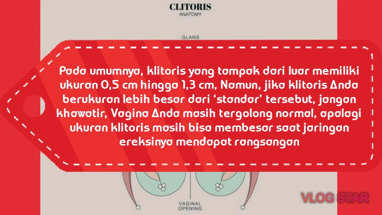 Bentuk vagina yang normal dan sehat #periksavaginaanda - YouTube