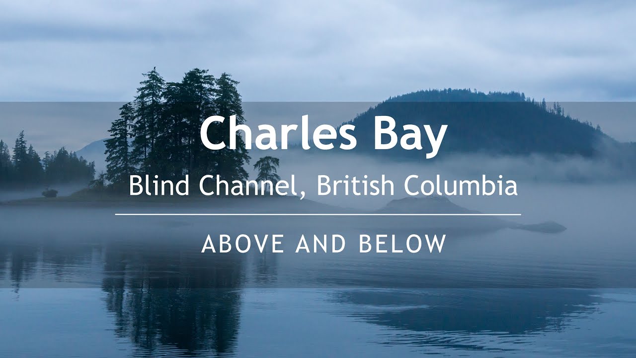 Exploring Charles Bay, Blind Channel British Columbia, Above and Below ...