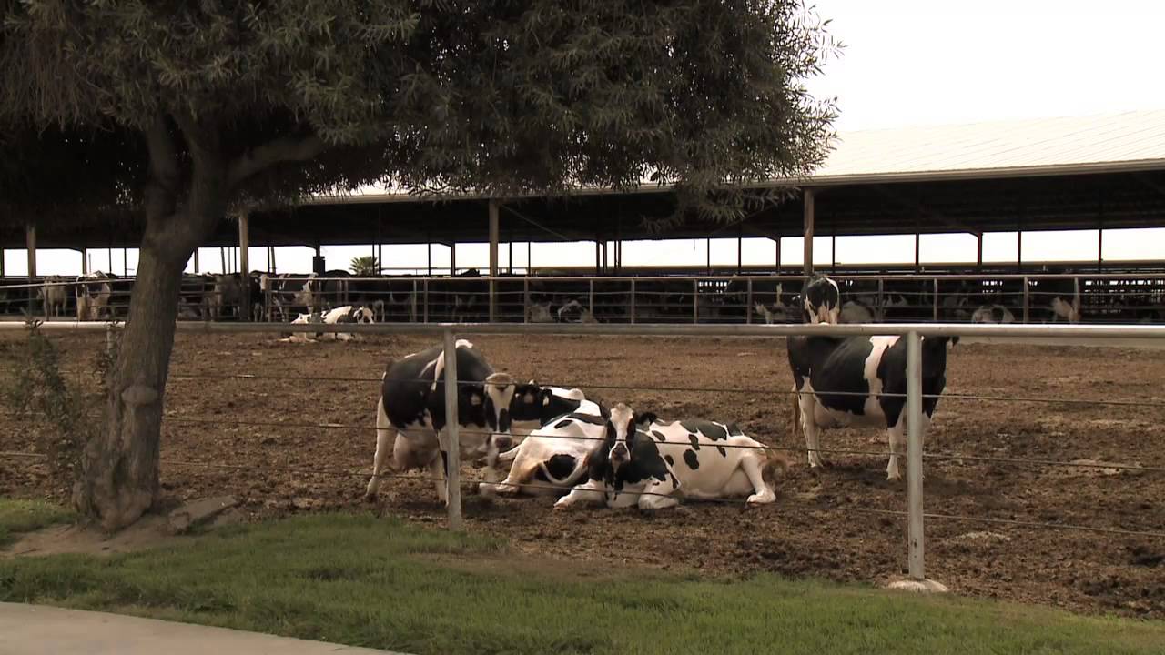 Chapter 1: FARM Program Introduction (2013) - YouTube