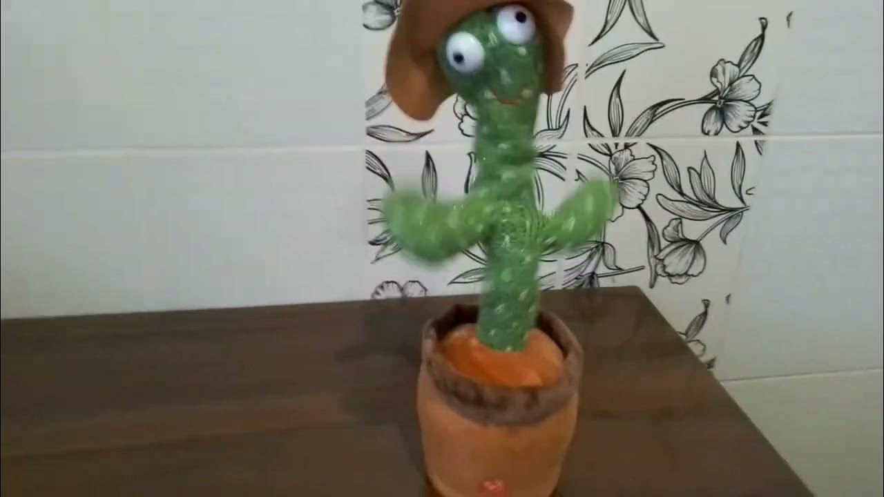 поющий кактус 🌵🌵🌵🌵 - YouTube