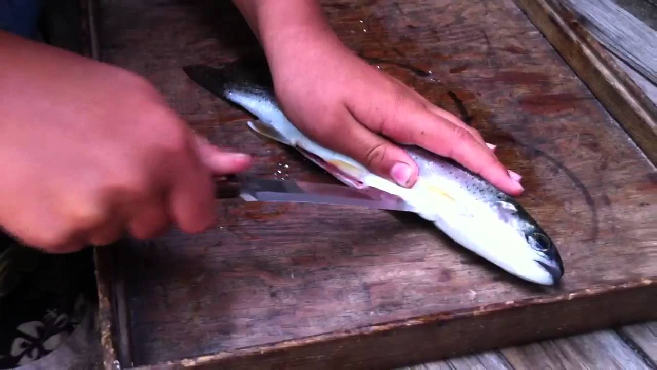How to Gut a Fish the Easy Way - YouTube
