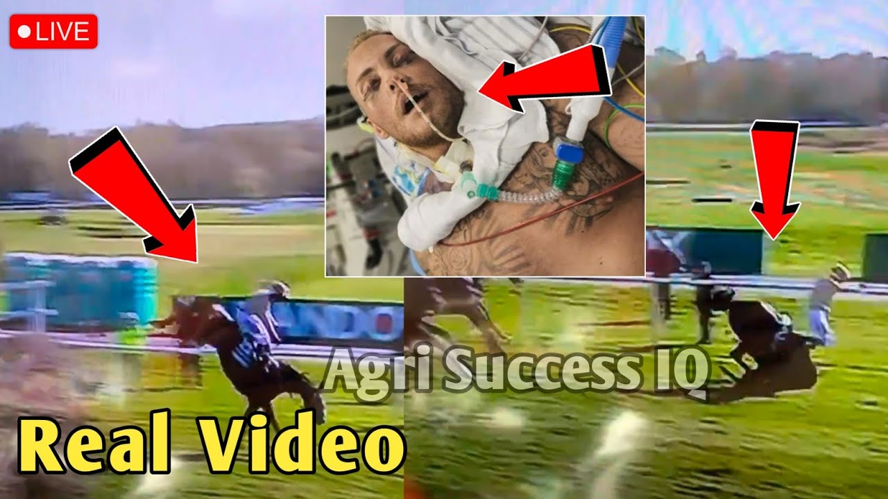 Grand National 2025 : Grand National Broadway Boy fall | Grand National horse Broadway Boy fall ...