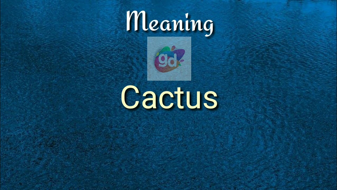 Cactus Meaning with Pronunciation||Googul Dictionary|| - YouTube