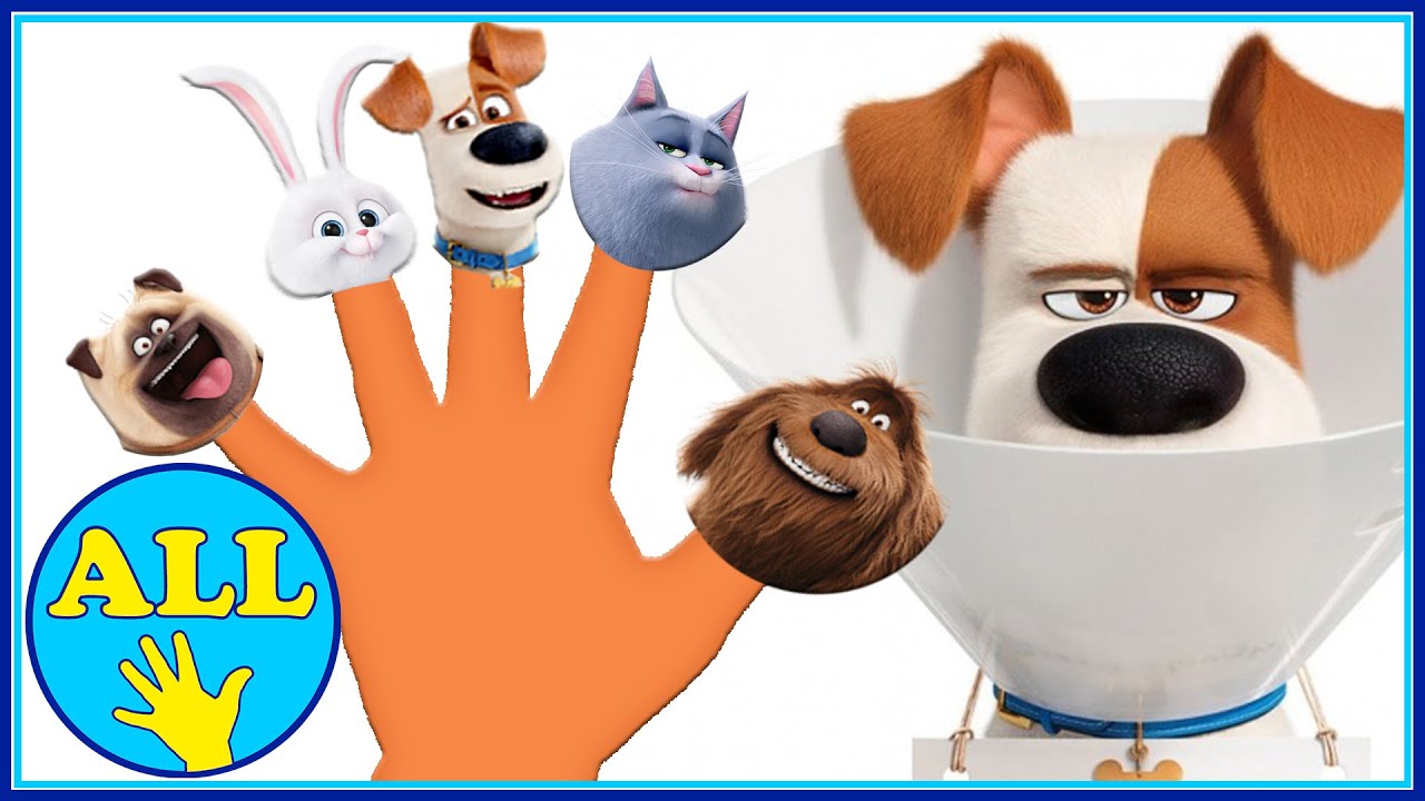 Secret Life of Pets Finger Family Songs collection - YouTube