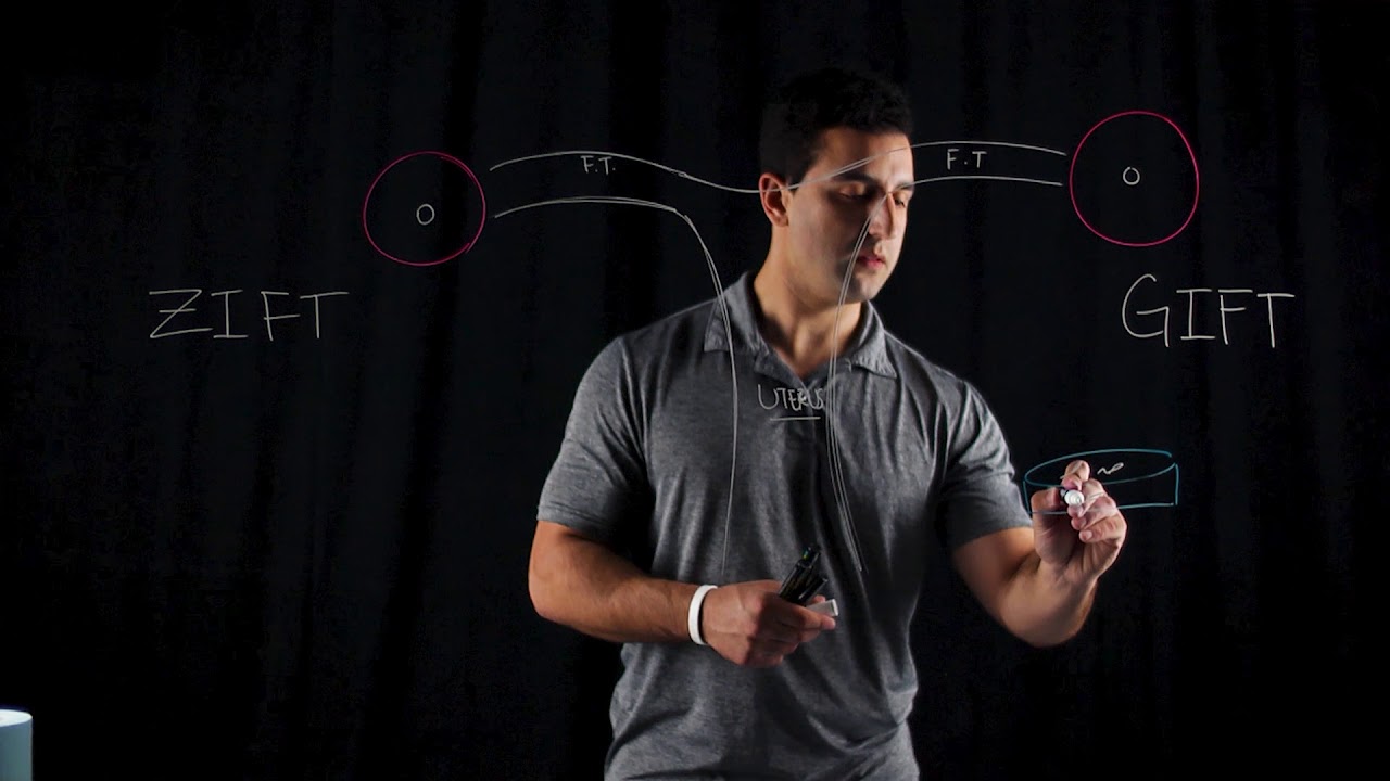 ZIFT & GIFT | One Young India