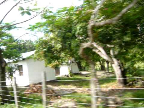 VIAJE AL GUAMO TOLIMA - YouTube