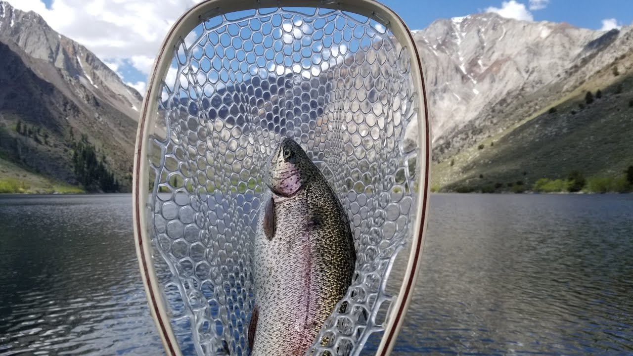 Catching Footballs at Convict Lake. Ultra Light BFS Finesse Trout ...
