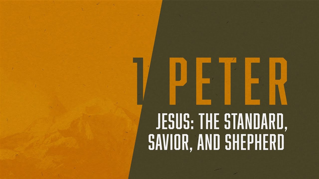 Jesus: The Standard, Savior, and Shepherd (1 Peter 2:21-25) | 8-7-22 ...