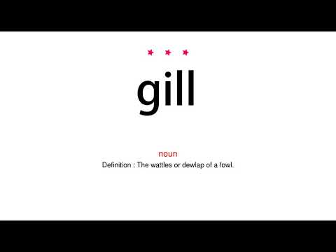 How to pronounce gill - Vocab Today - YouTube