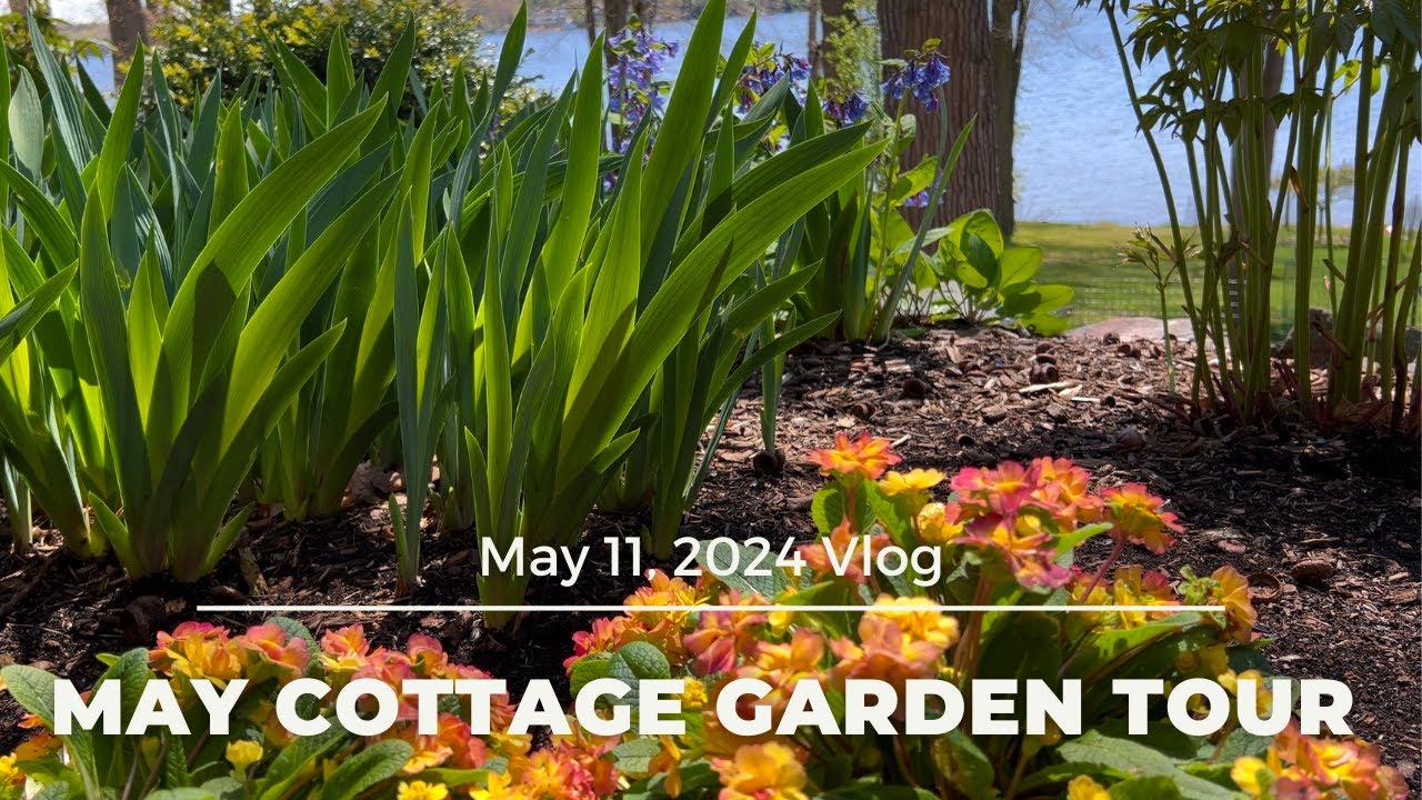May Cottage Garden Tour - YouTube