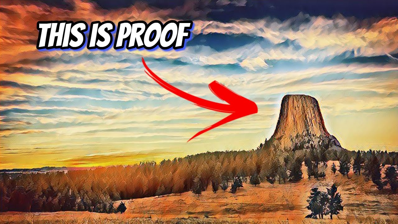 How Does Wood Turn Into Stone? - YouTube