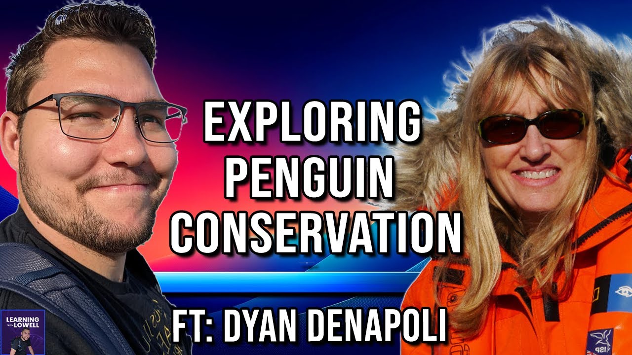 Penguin Conservation, Pollution, & Illegal Hunting - Dyan deNapoli ...