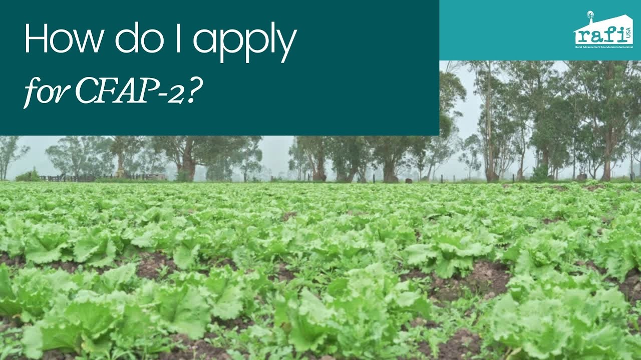How to Apply for CFAP - Part 3 of 4 - YouTube