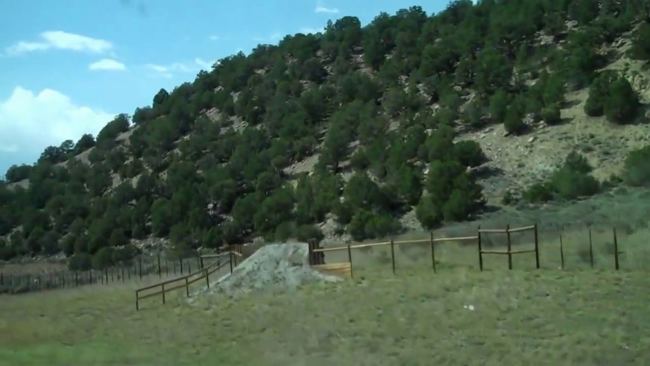 Wildlife Escape Ramp - YouTube