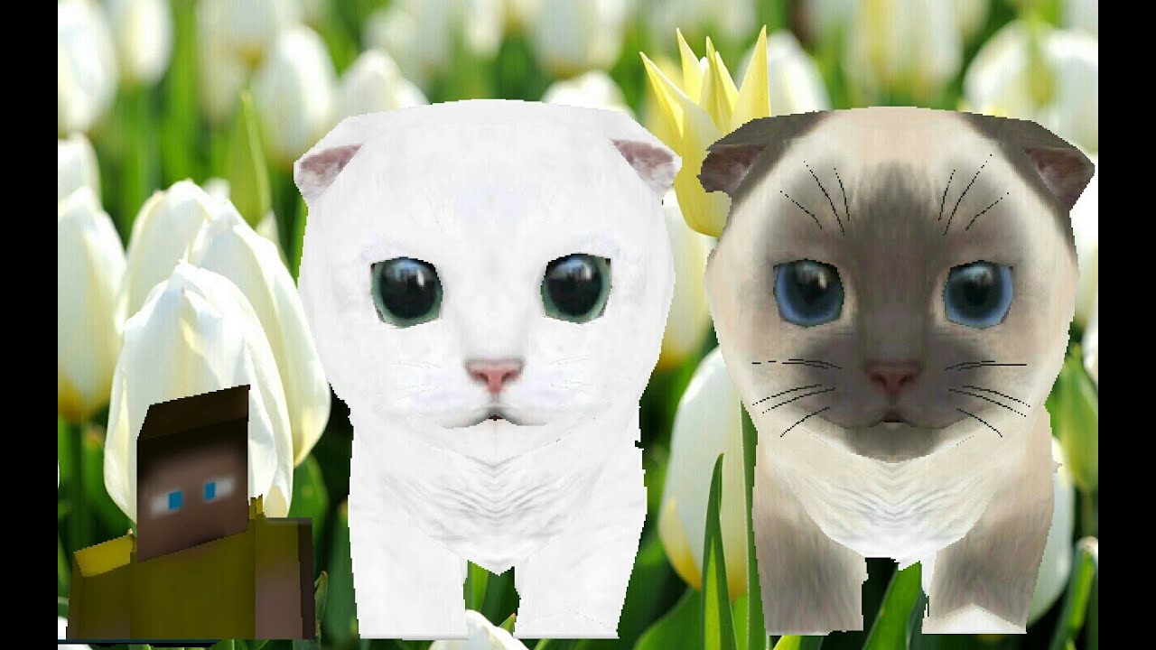 Suzen & Aleks. Kitten cat simulator. Мяуууууу! - YouTube