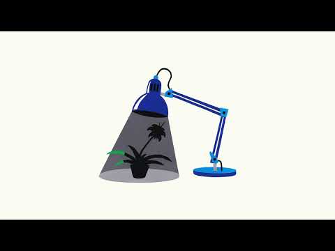 Frah Quintale - Buio di giorno