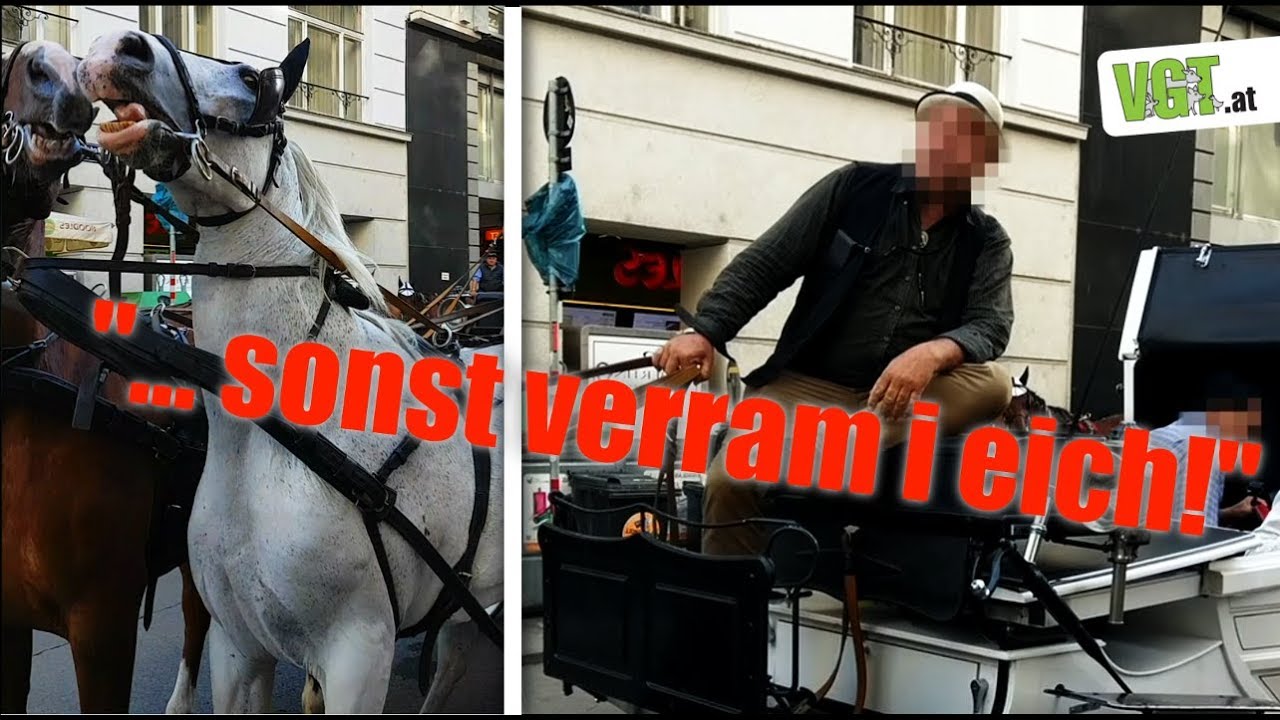 Fiaker-Fahrer bedroht Tierschutz-Demo - YouTube
