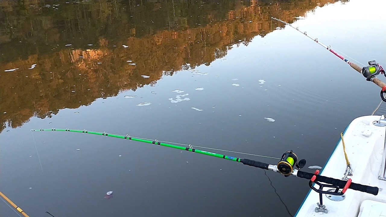 North Carolina Catfishing Tuckertown Reservoir #CatfishJimbo #LilJimbo ...