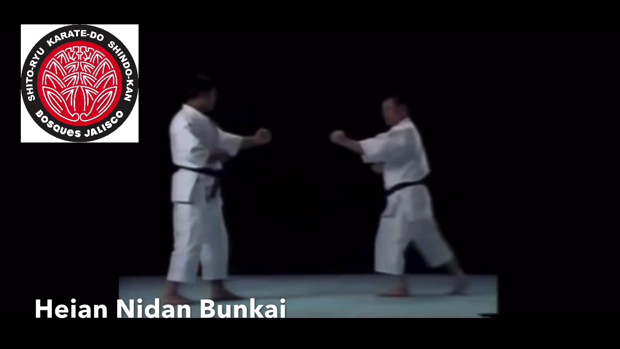 HEIAN NIDAN BUNKAI SHITO RYU - YouTube