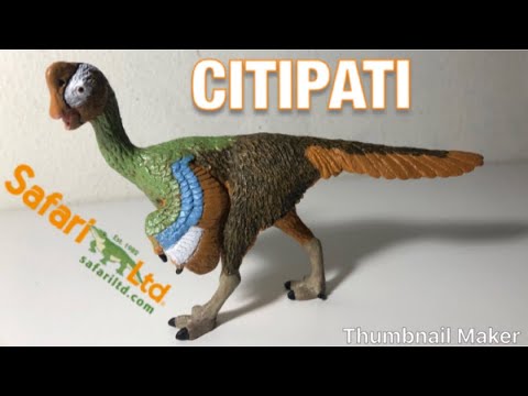Safari Ltd 2019 dinosaurs Citipati figure review - YouTube