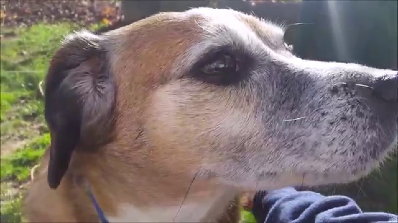 Vlog 93--Clipping Timmy's Nails - YouTube