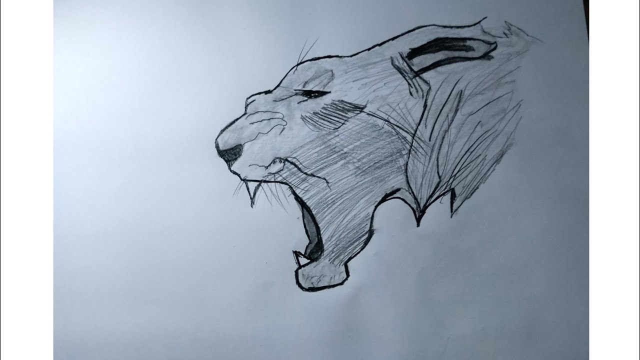 How To Draw Cool Drawing ll Tutorial Video ll Step by step ll pencil ...