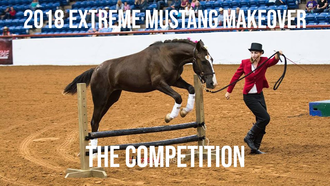 2018 Extreme Mustang Makeover - The Competition - YouTube