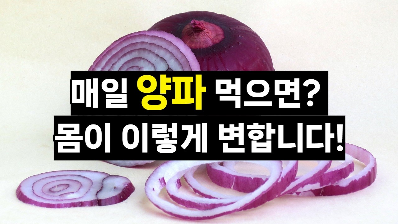 양파를 매일 먹으면 나타나는 효과 양파 건강하게 먹기 양파 효능 꿀팁 건강정보 건강챙기기 건강 음식 Food 양파