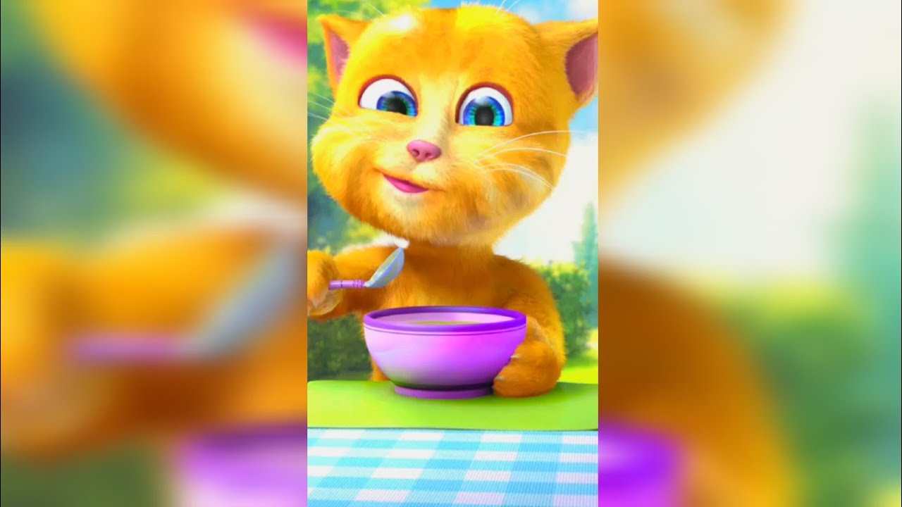 talking ginger cat game video 😹🙀😻🐈 - YouTube