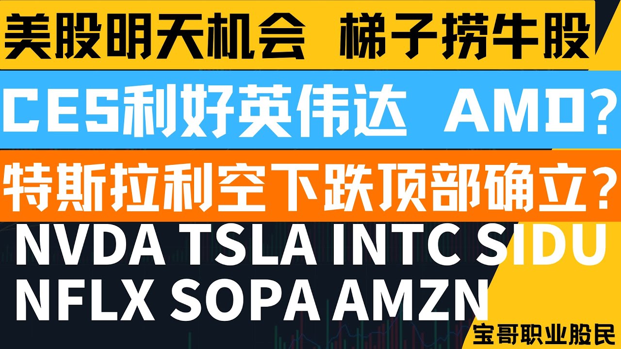 CES利好英伟达 AMD? 特斯拉利空下跌顶部确立? NVDA TSLA INTC SIDU NFLX SOPA AMZN！12292025 ...