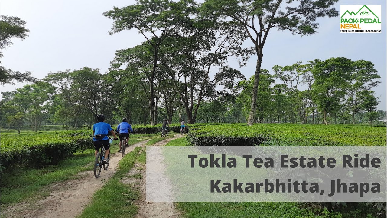 Tokla Tea Estate Ride - YouTube