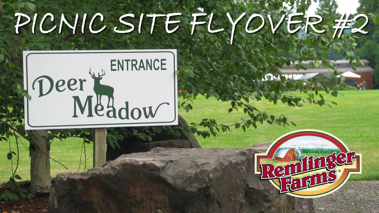 Limitless Space: Aerial View of Remlinger Farms' Sprawling Company ...