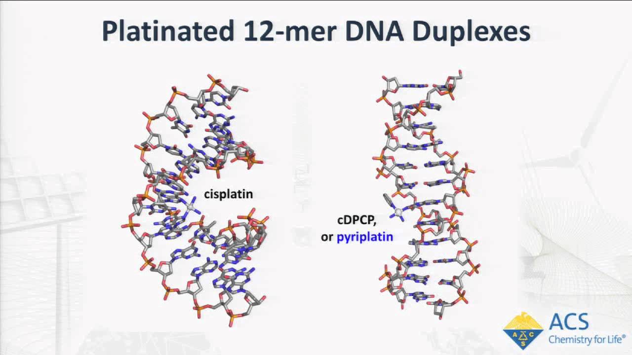 Prof. Stephen J. Lippard receives highest honors, 2014 Priestley Medal ...