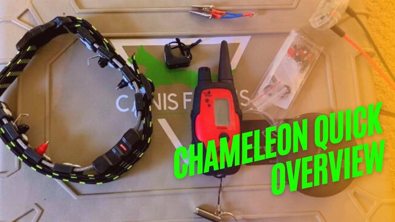 QUICK Chameleon overview. Martin System - YouTube