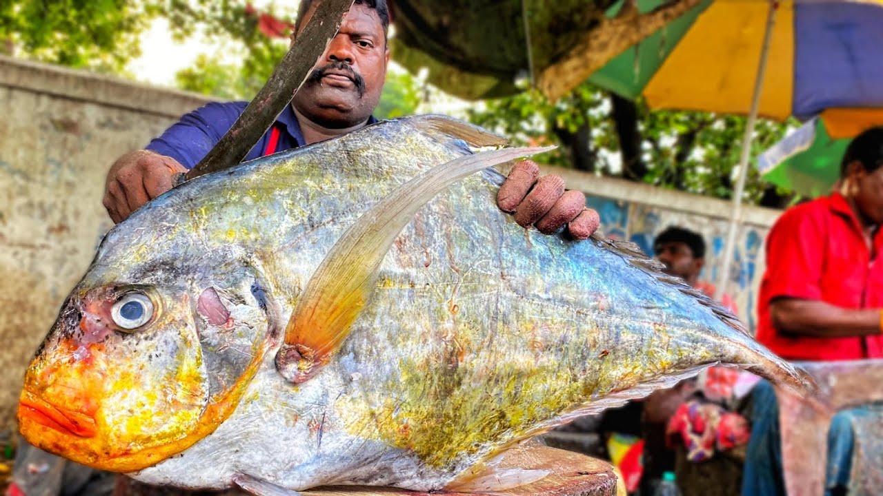 KASIMEDU 🔥 SPEED SELVAM | HUGE DIAMOND TRAVELLY FISH CUTTING VIDEO | 4K ...
